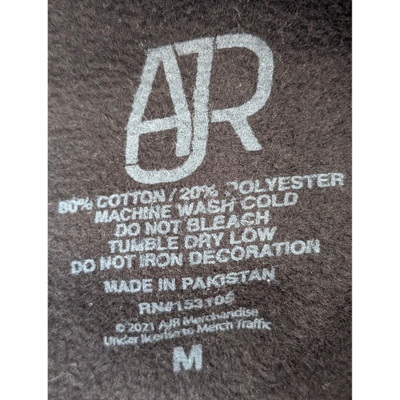 AJR | Shirts | Ajr Bummerland Hoodie Black Graphic Band Merch Flamingo ...